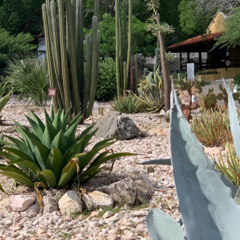 Activities at Hato Caves - Adventure Awaits!